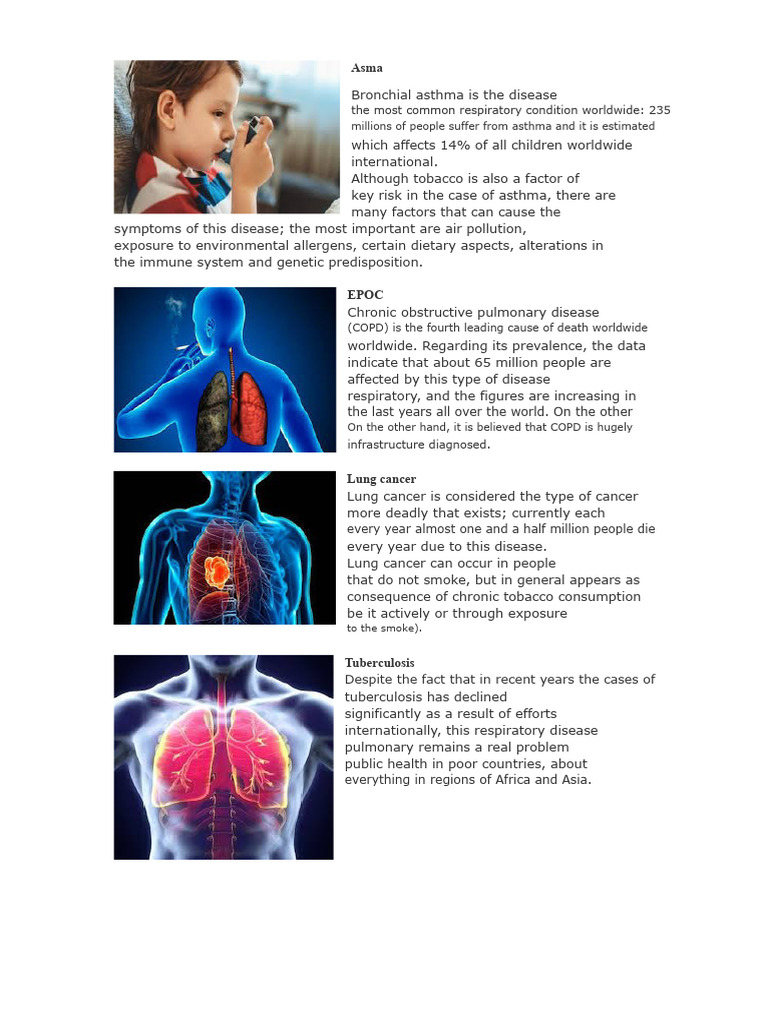 10 Respiratory Diseases | PDF | Respiratory Diseases | Chronic ...