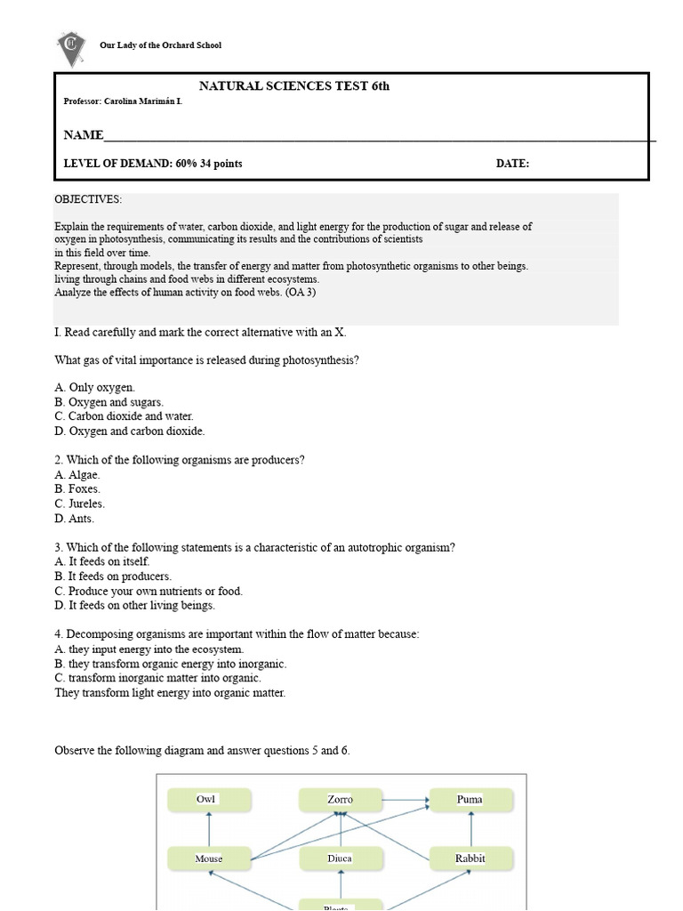 Photosynthesis and Food Webs Test | PDF | Food Web | Organisms