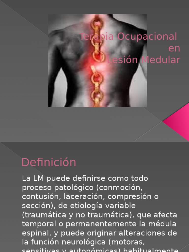 Terapia Ocupacional en Lesion Medular | PDF | Médula espinal | Lesión ...