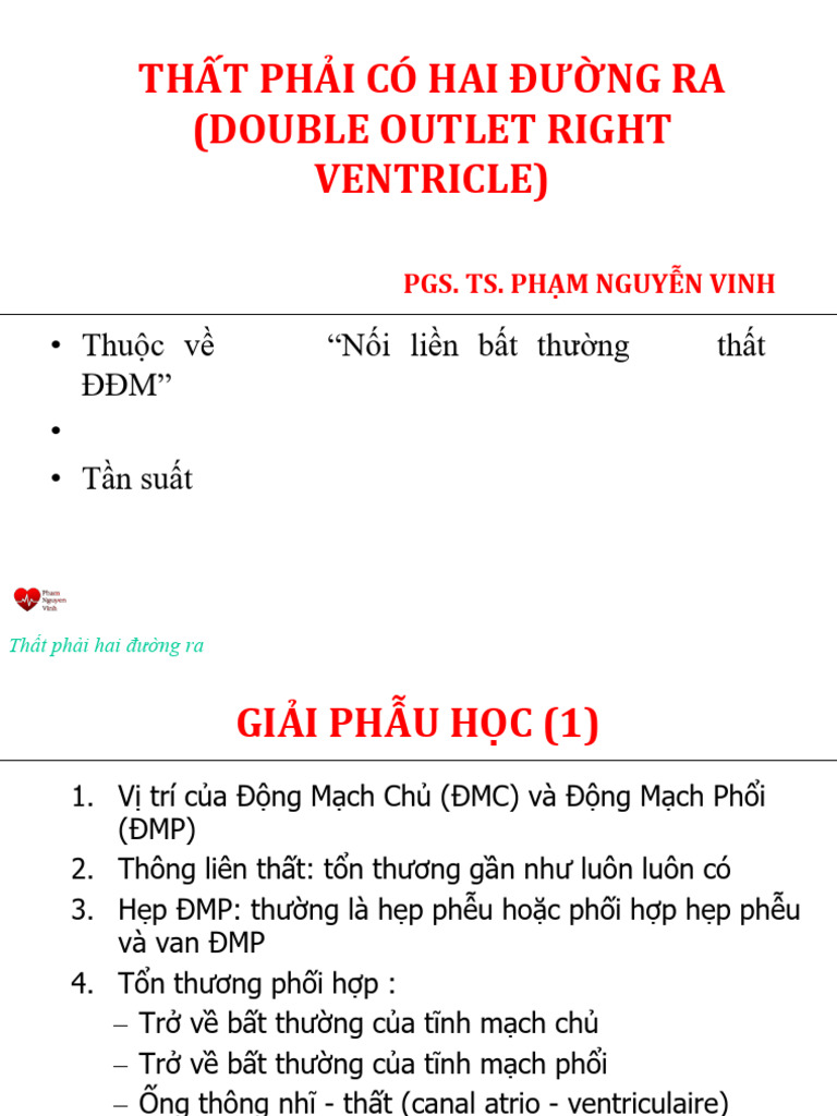 That Phai 2 Duong Ra Pham Nguyen Vinh | PDF