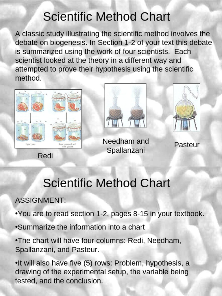 Scientific Method Chart | PDF