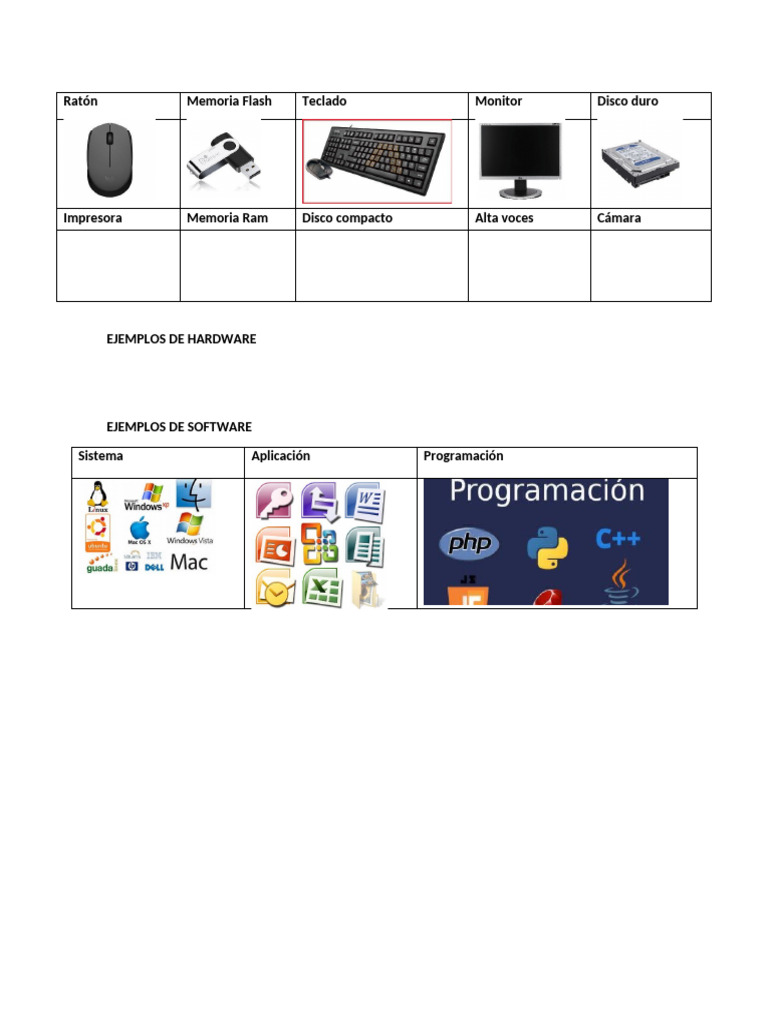 Ejemplos de Hardware Y Software | PDF