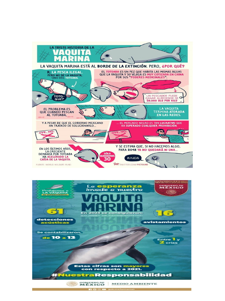 Las Vaquitas Marinas Tenemos El Derecho de Vivir | PDF