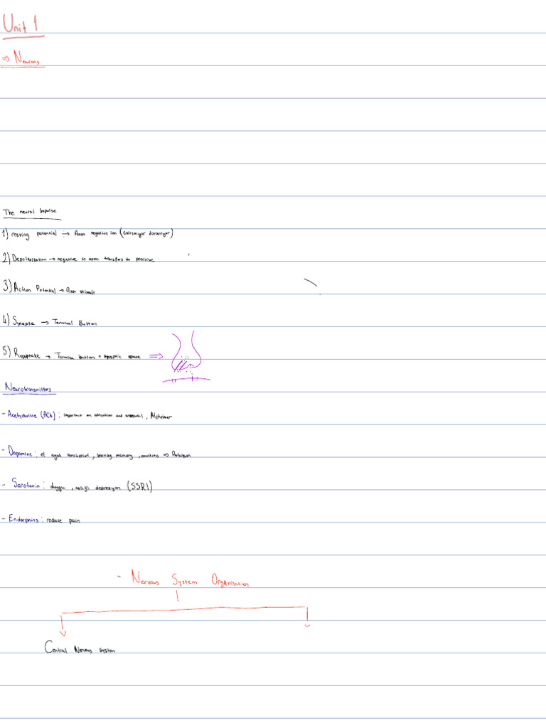 Not 24 Eyl 2025 | PDF