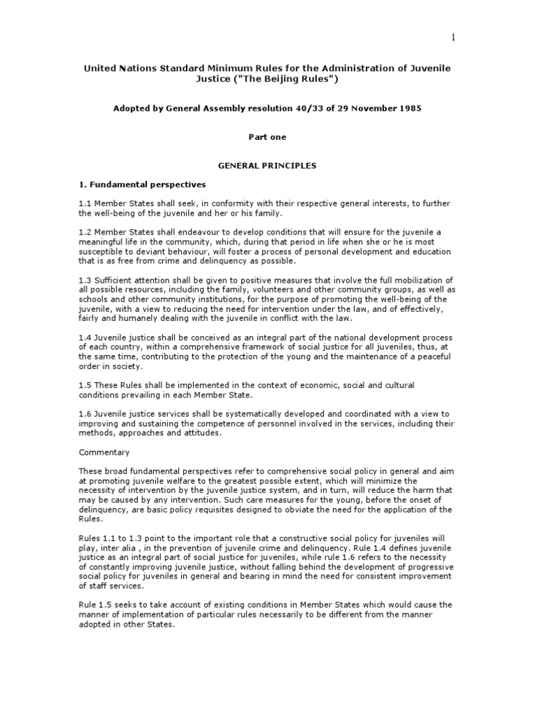 Beijing Rules on Juvenile Justice | PDF