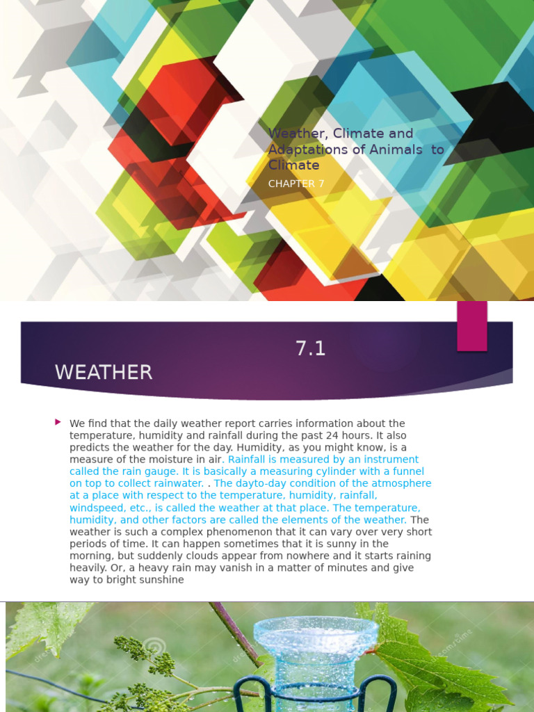 Weather, Climate and Adaptations of Animals To | PDF | Elephant | Rain