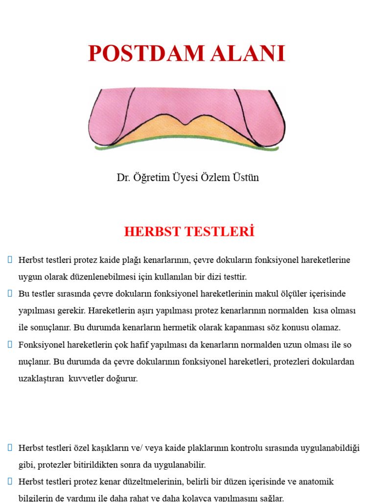 (4. Slayt) Postdam | PDF
