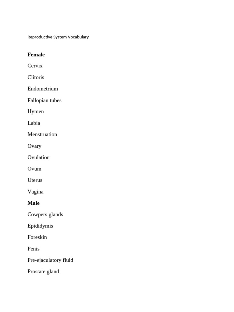 Reproductive System Vocabulary | PDF