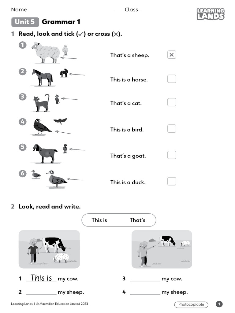 LL1 Worksheets U5 Grammar 1 | PDF