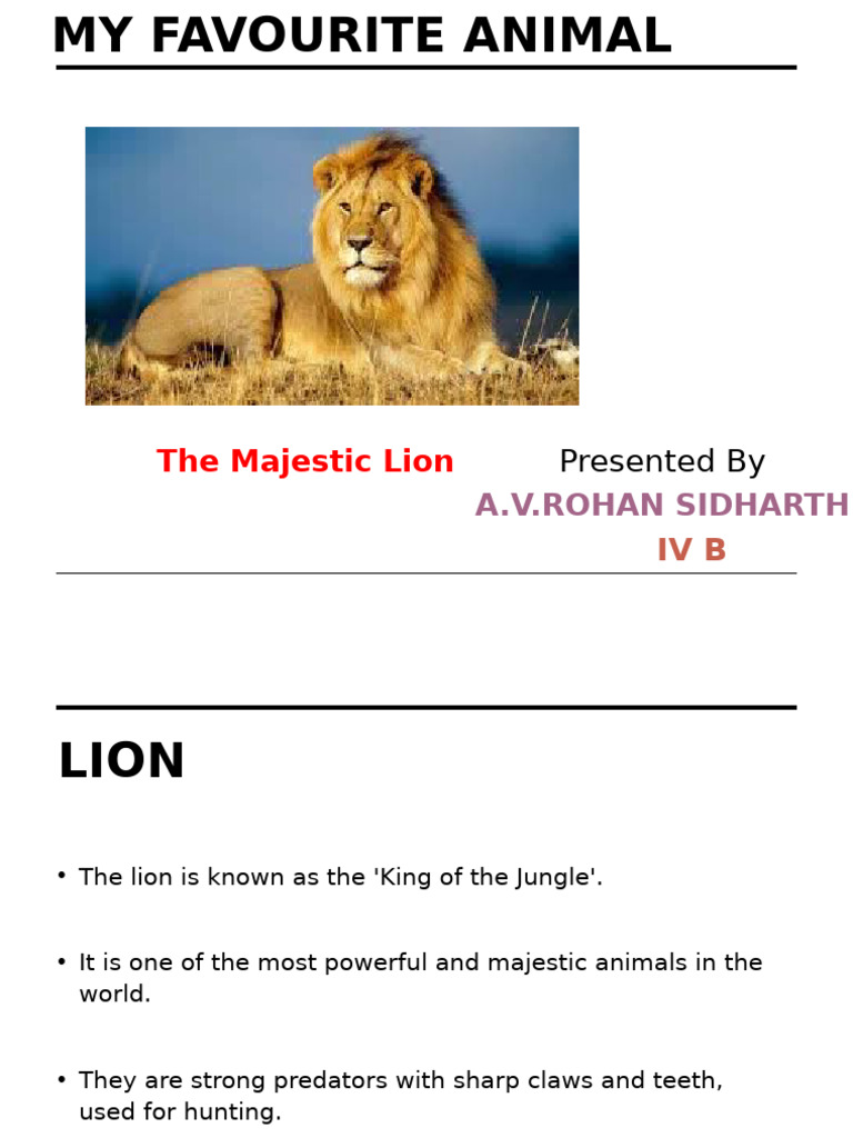The Majestic Lion: My Favorite Animal | PDF