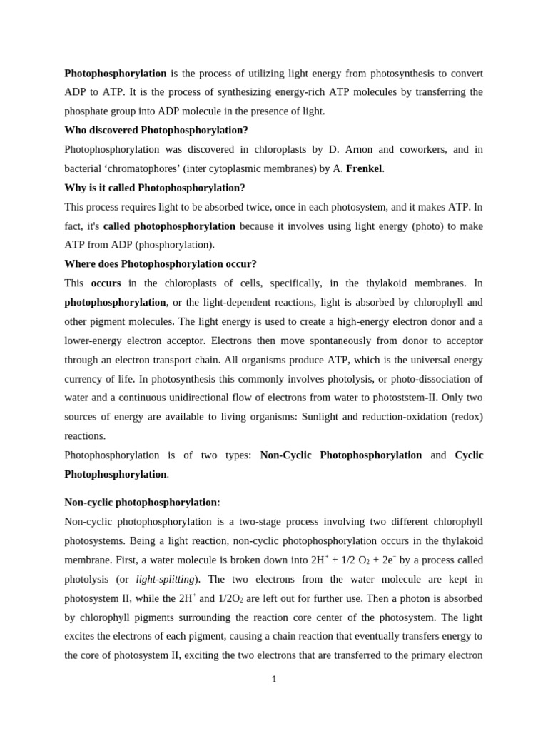 Photosynthesis 3 | PDF | Photosynthesis | Metabolism