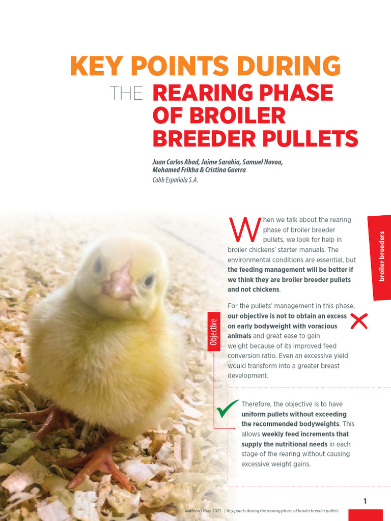 Rearing Broiler Breeder Pullets Guide | PDF | Broiler | Water