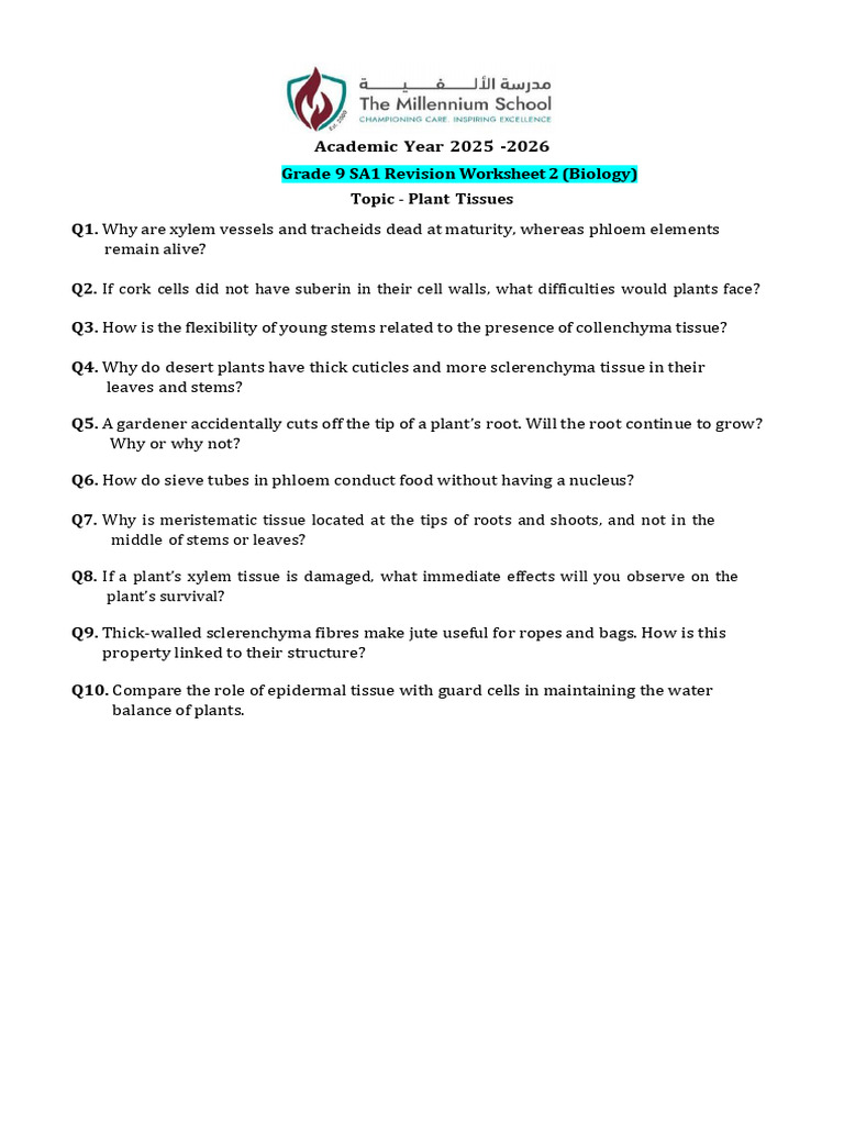 GR 9 SA 1 Revison Worksheet 2 | PDF