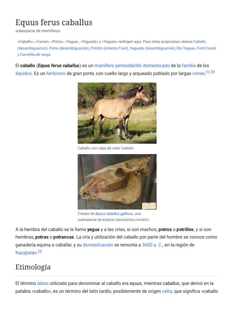 Equus Ferus Caballus - Wikipedia, La Enciclopedia Libre | PDF ...