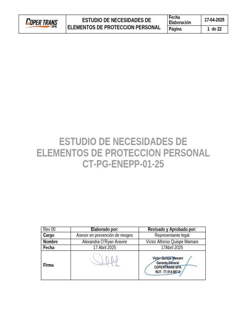 Estudio de Necesidades de EPP | PDF | Casco | Lentes