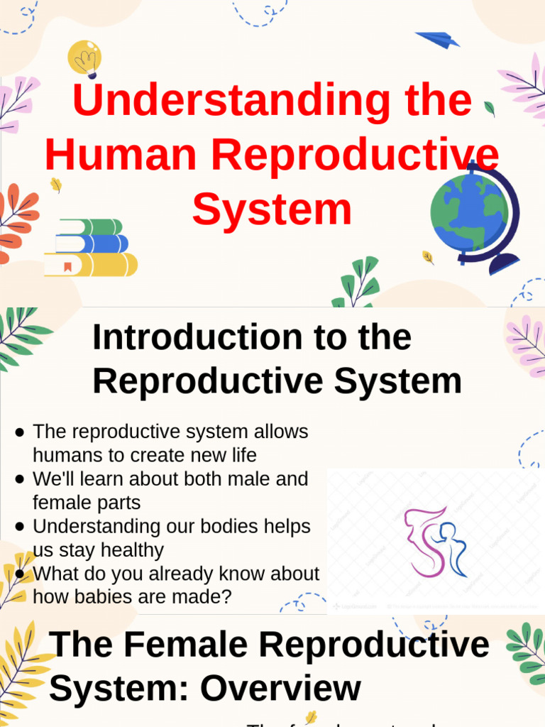 Egg Cell Diagram in Reproductive System | PDF | Reproductive System ...