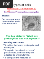 3- Chemical Calculations | PDF