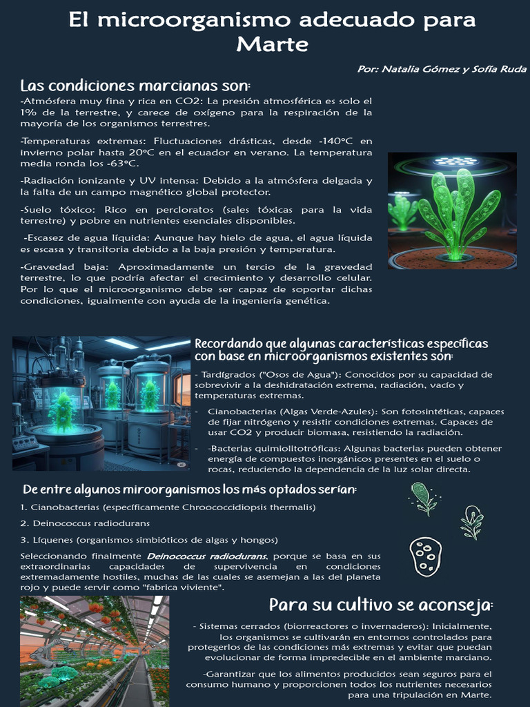 Infografía Microorganismo de Marte | PDF | Cianobacterias | Agua