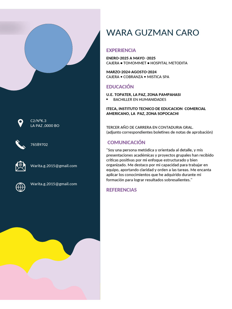 Wara Guzman Caro CV 1. | PDF