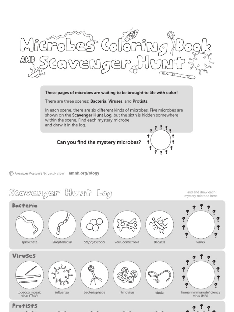 Microbes Scavenger Hunt Print | PDF | Microorganism | Microscopy