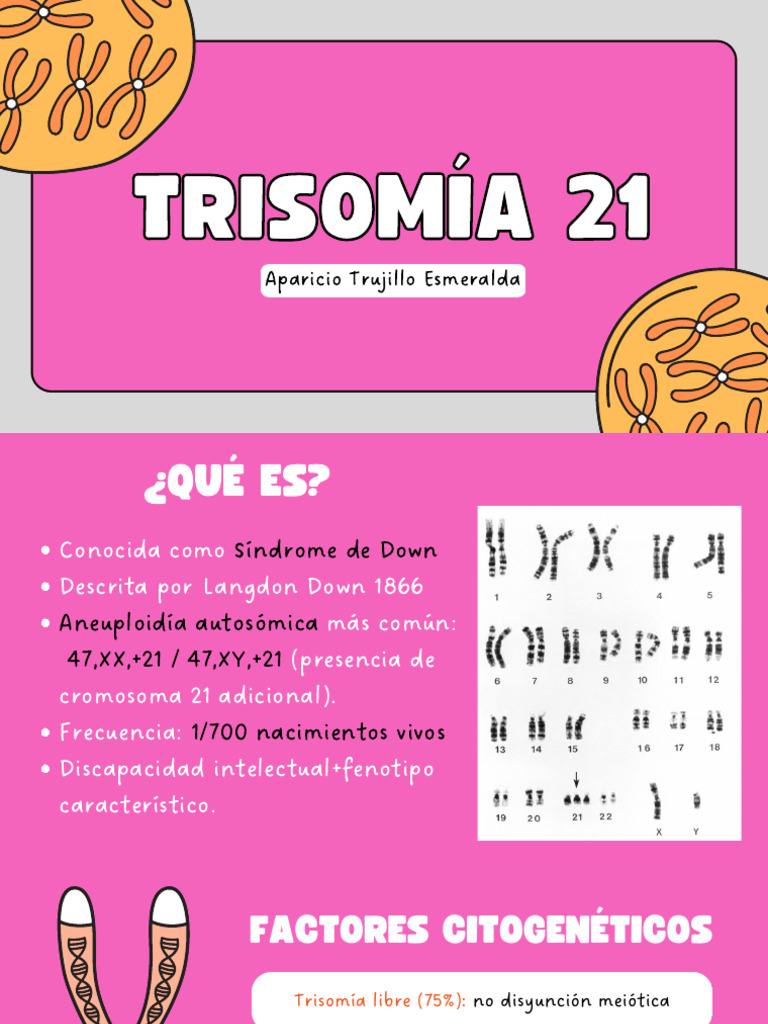 Trisomía 21 Síndrome De Down Explicado Pdf Nucleo Celular
