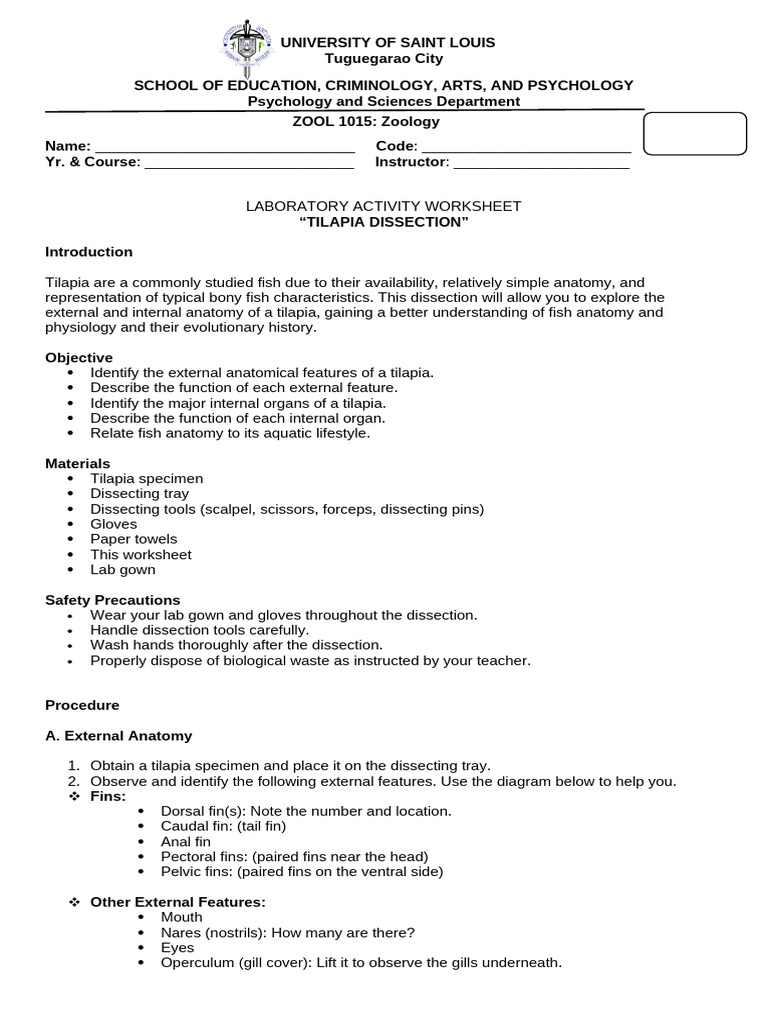 Fish Dissection Worksheet | PDF | Anatomy | Gastrointestinal Tract