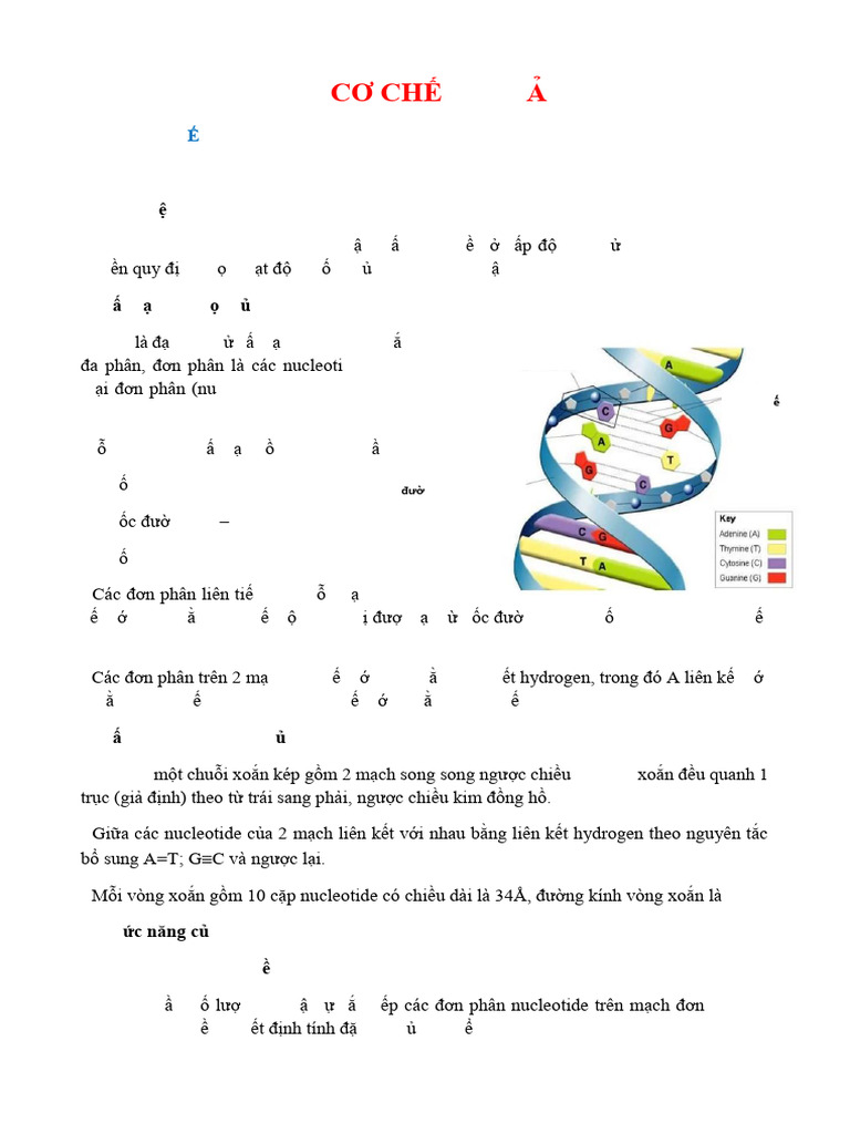 Dna Và Cơ Chế Tái Bản Dna | PDF
