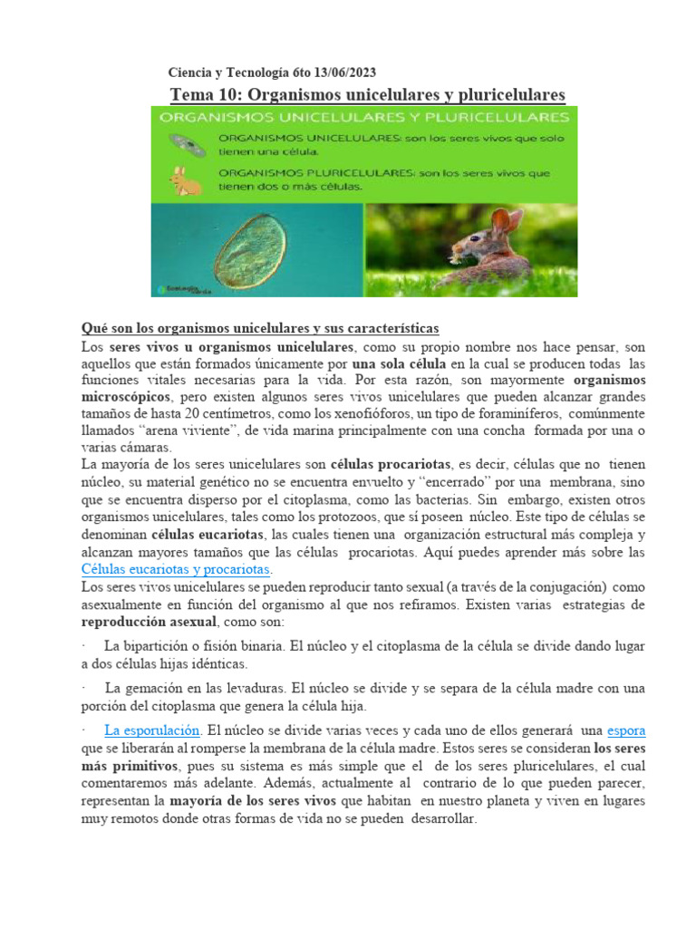 Organismos Unicelulares y Pluricelulares | PDF | Biología Celular ...
