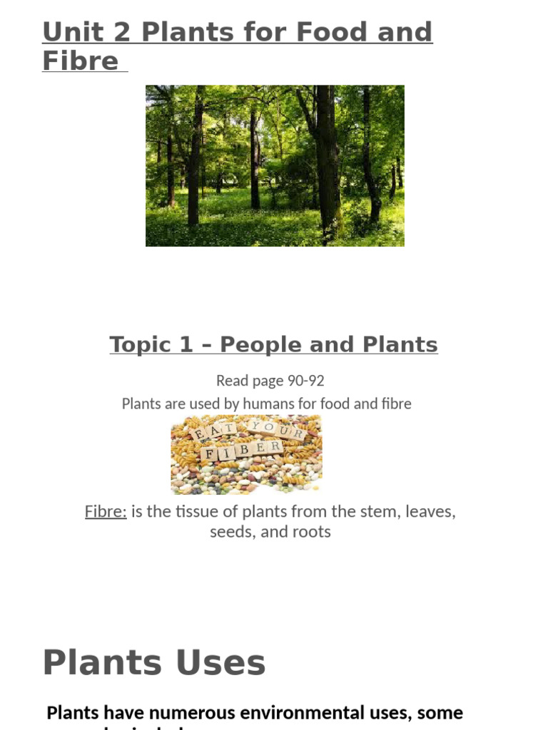Uses of Plants: Food, Fibre, and Medicine | PDF | Flowers | Plants