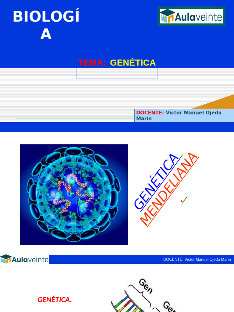 Semana 3 - Genética - PPT PRE SAN MARCOS NIVEL A1 | PDF | Dominancia (Genética) | Genética