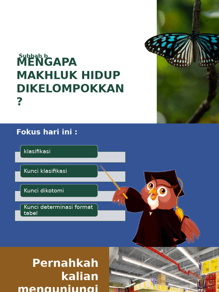 Subab B Materi Klasifikasi Makhluk Hidup | PDF