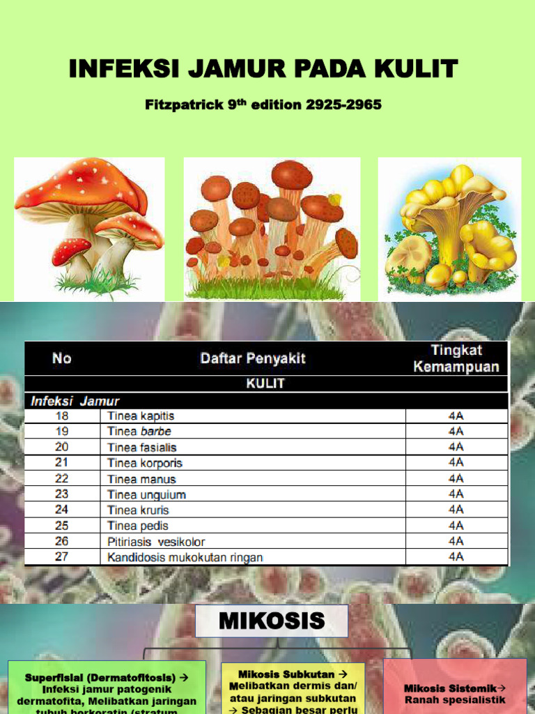 Infeksi Jamur Kulit: Dermatofitosis dan Yeast | PDF