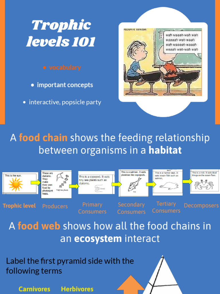 Trophic Levels 101 - Tropic Pyramid | PDF