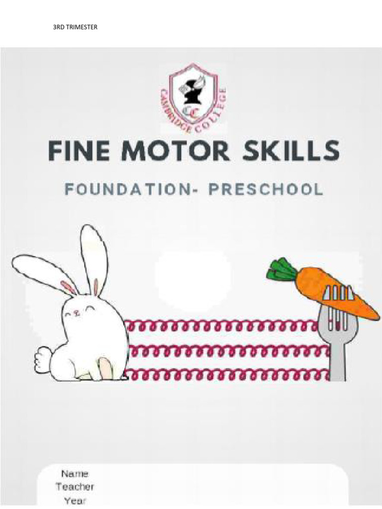 Fine Motor Skills-Art Fy 3tri | PDF