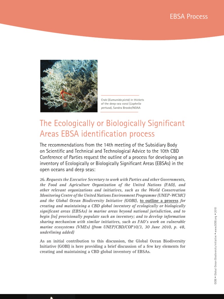Gobi Briefing Ebsa Process en | PDF | Ecology | Food And Agriculture ...