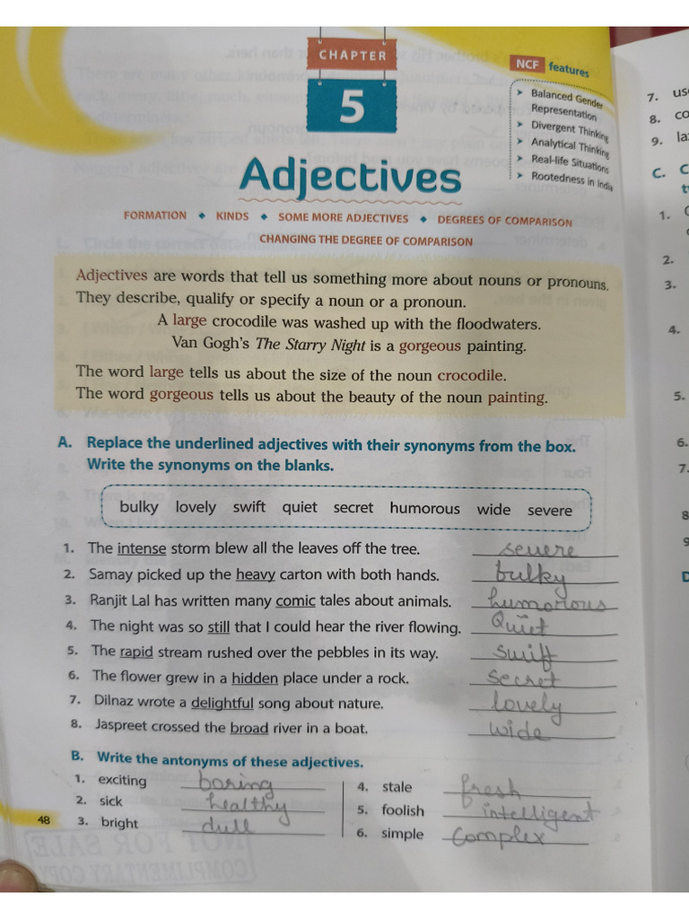 Class 6 Chapter 5 Adjectives | PDF