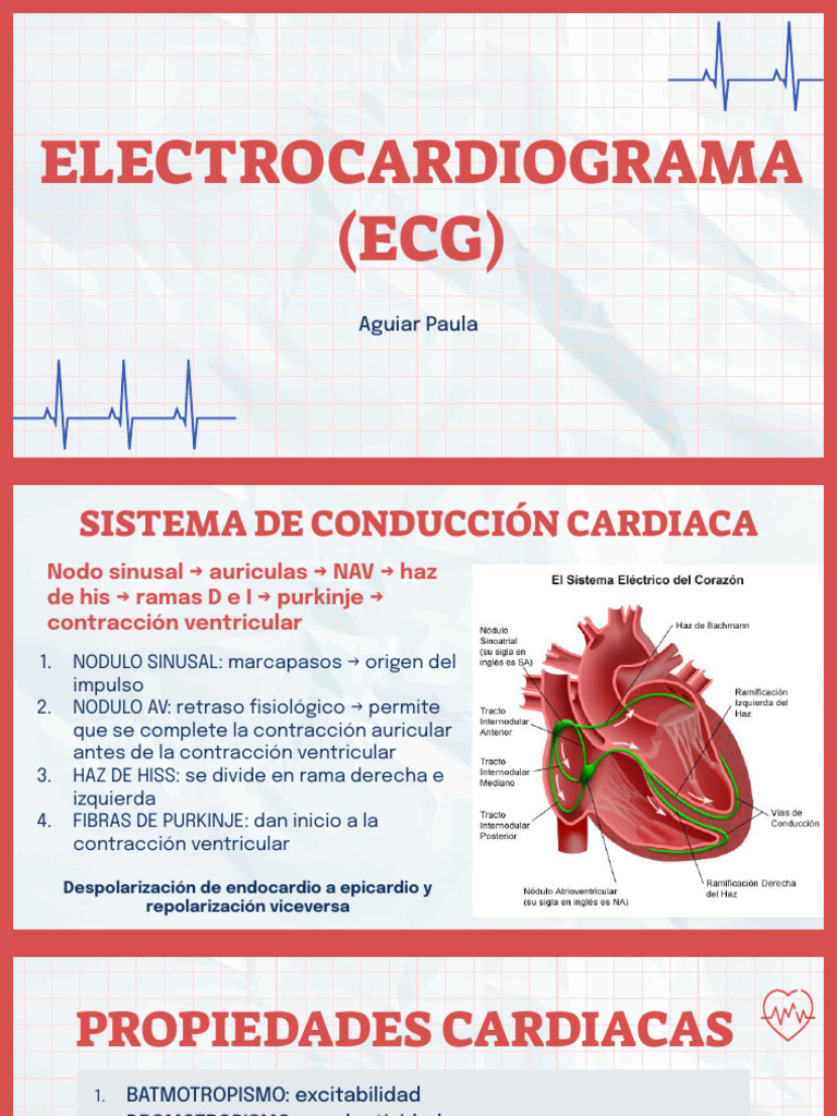 Guía Completa del Electrocardiograma (ECG) | PDF | Especialidades ...