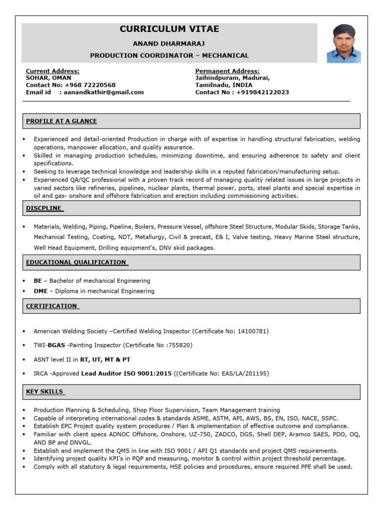 Production Coordinator Profile: Anand Dharmaraj | PDF | Nondestructive ...