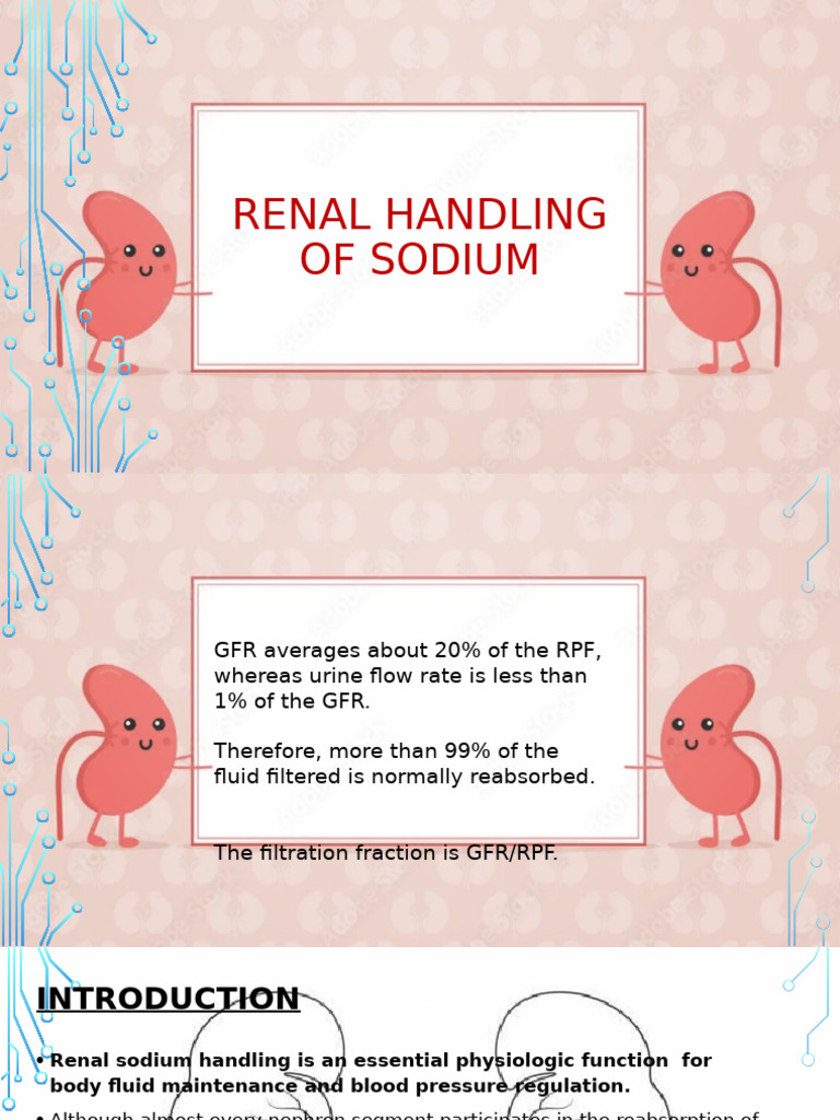 Renal Handling of Sodium | PDF | Kidney
