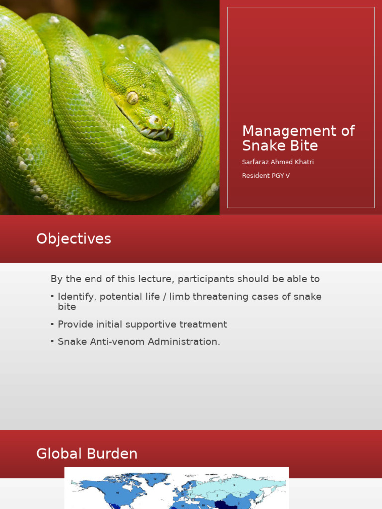 Management of Snake Bite Updated | PDF | Dose (Biochemistry) | Chemistry