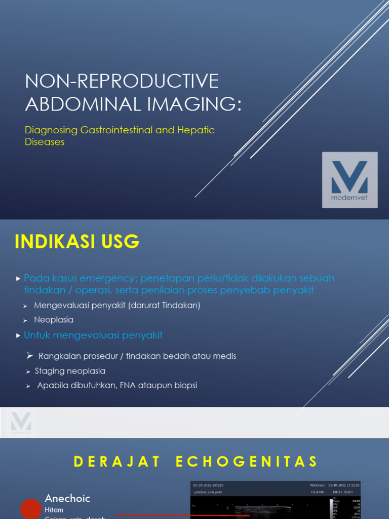 Diagnosa Penyakit Hati dengan USG | PDF