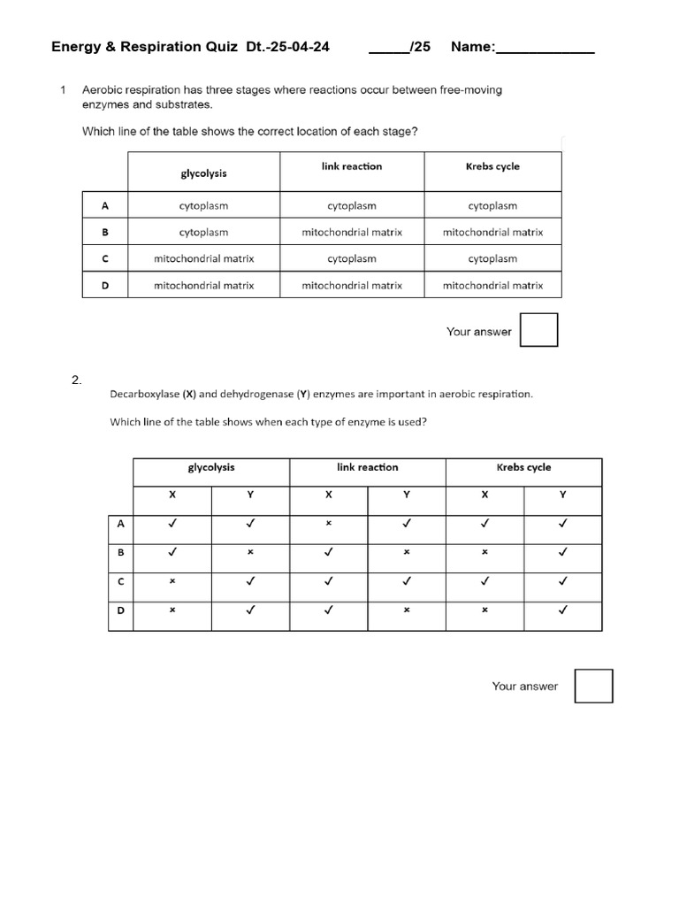 A Level Biology Energy and Respiration Quiz | PDF