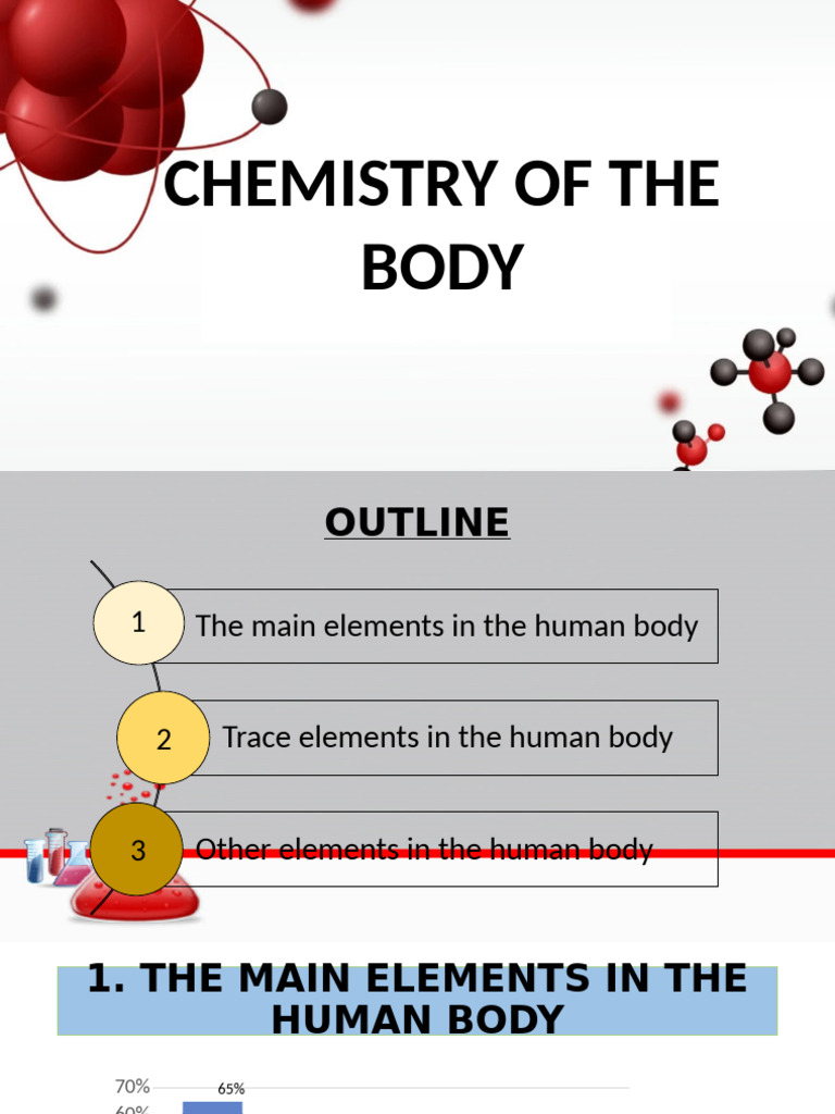 Elements Essential to Human Body | PDF | Metabolism | Proteins