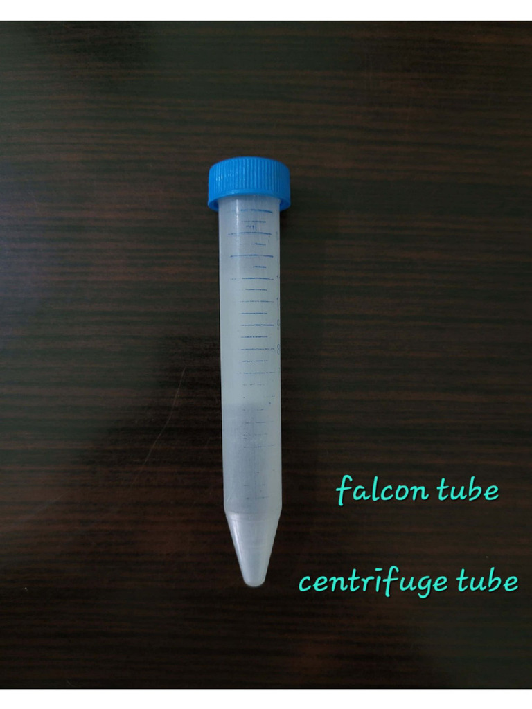 Bacteriology Practical Identification | PDF