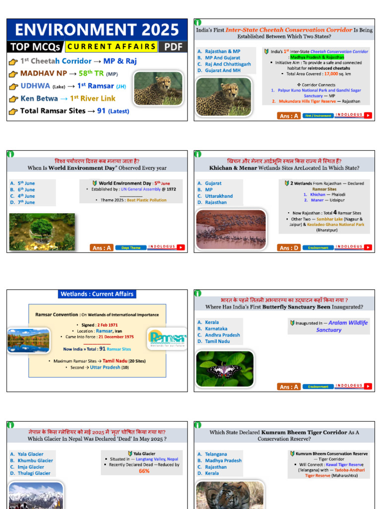 Environment 2025 | PDF