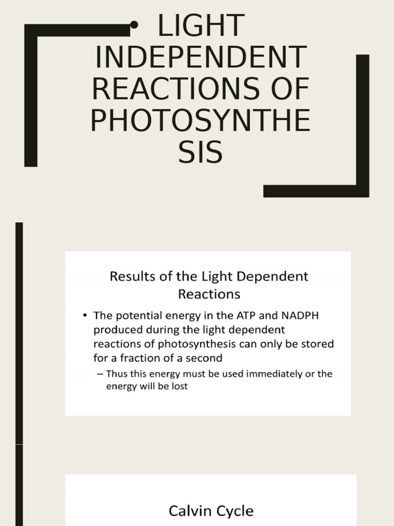 Light Independent Reactions of Photosynthe SIS | PDF