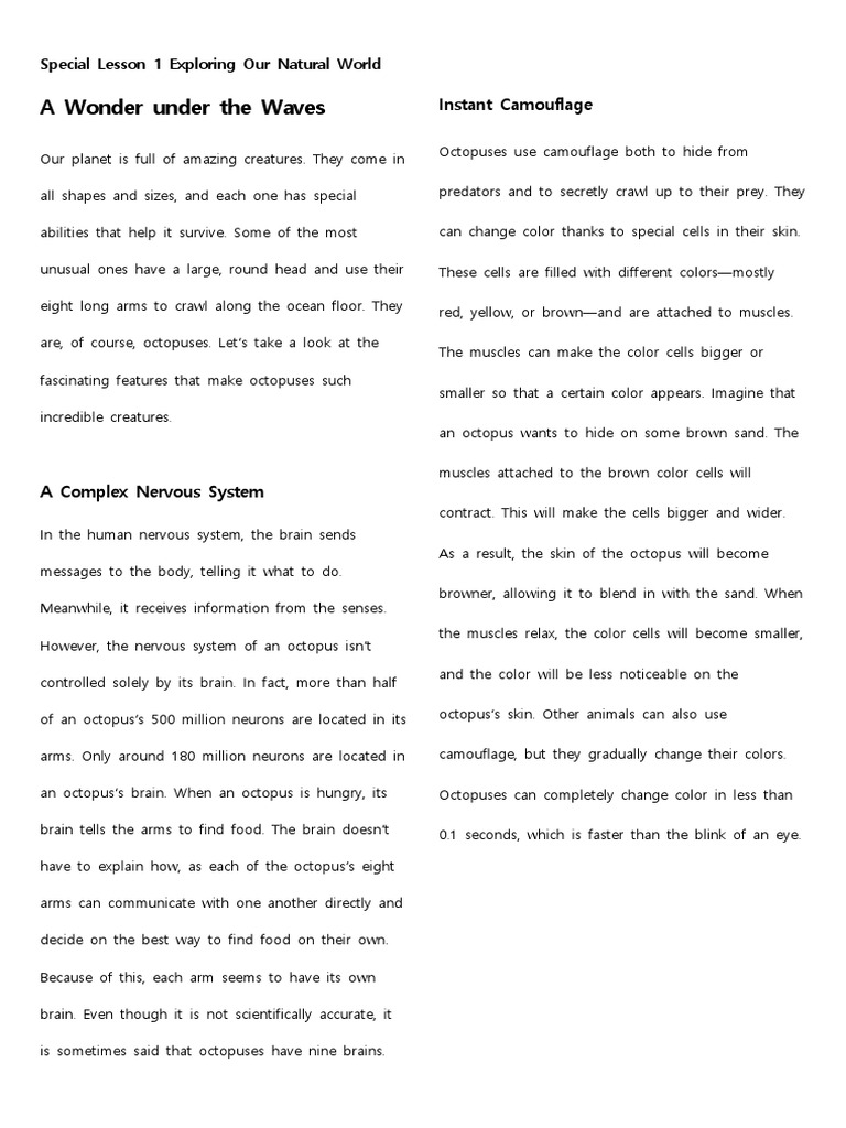 Fascinating Facts About Octopuses | PDF | Octopus | Brain