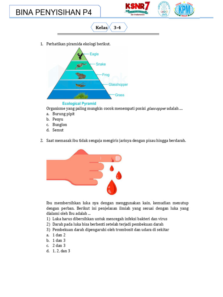 04 Materi Bina KSNR Kelas 3-4 | PDF