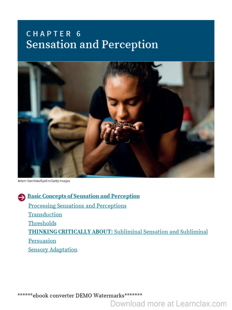 Psychology - Chapter 6 Sensation and Perception | PDF | Retina | Perception