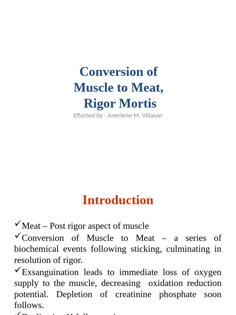 Conversion of Muscle To Meat Rigor Mortis 1 Midterm | PDF | Meat ...